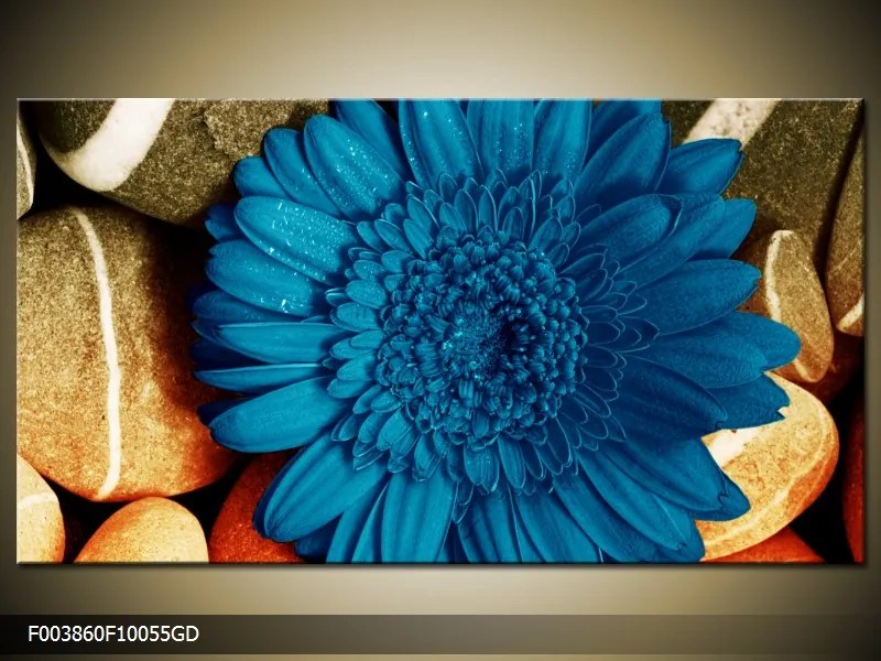 Obraz modrého květu na kamenech  (), 40 dalších rozměrů