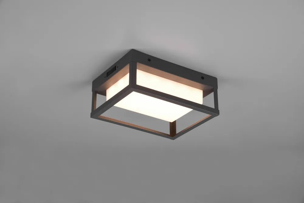 LED nástěnné venkovní svítidlo (výška 24 cm) Witham – Trio