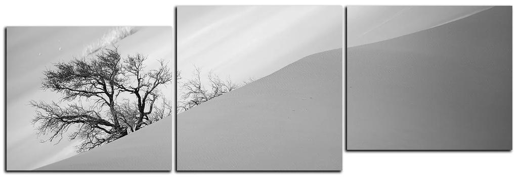Obraz na plátně - Červené písečné duny - panoráma 5133QD (150x50 cm)