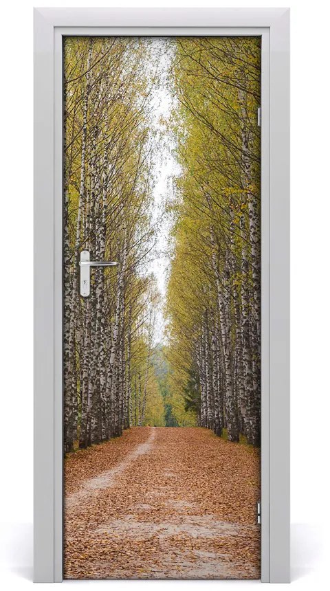 Fototapeta na dveře samolepící břízový les 85x205 cm