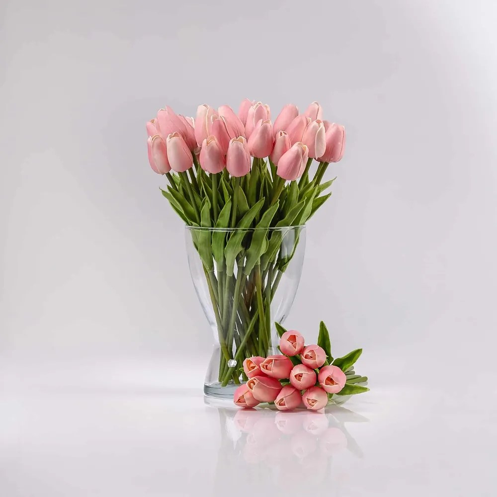 Rozkošný tulipán IVONA