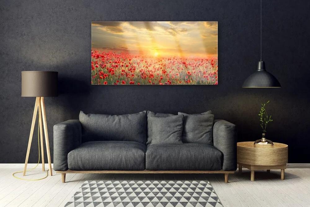 akrylový obraz Slunce Louka Mák Květiny 120x60 cm