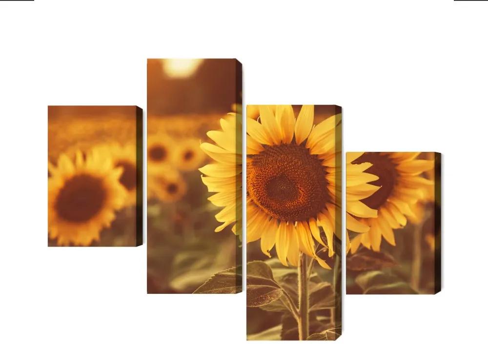 Vícedílný obraz Pole Slunečnic V Retro 3D Stylu Nedostatek Nedostatek Plátno Canvas 120x75