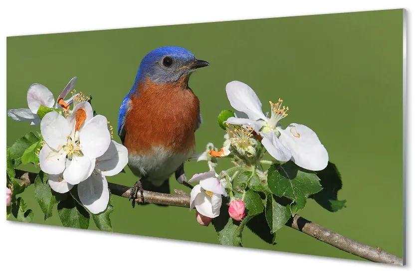 Obraz na skle Květiny barevné papoušek 140x70cm