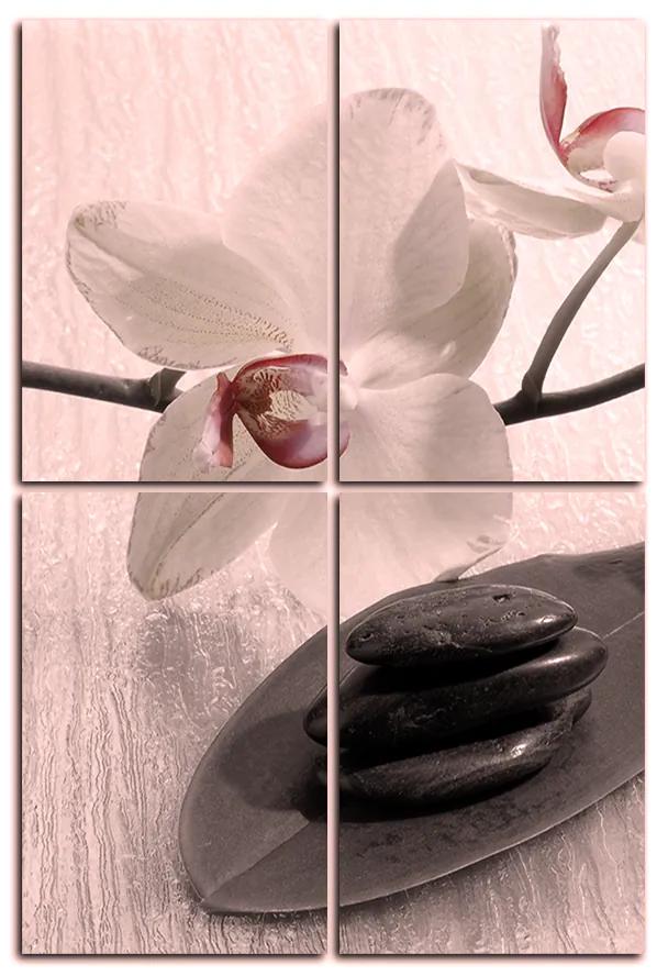 Obraz na plátně - Květy orchideje - obdélník 762FD (90x60 cm)