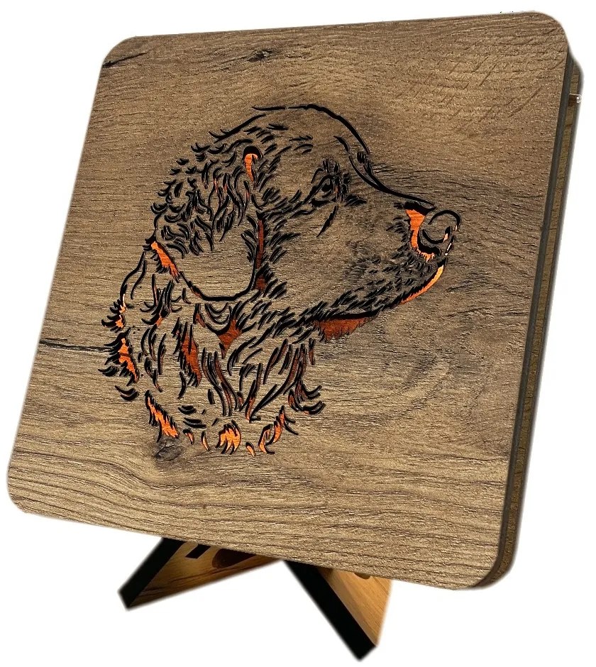 Li-Go "Labrador štěně" lampa 19x19cm provedení povrchu: ořech