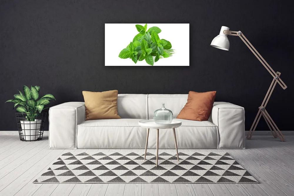 Obraz na plátně Máta Rostlina Příroda 120x60 cm