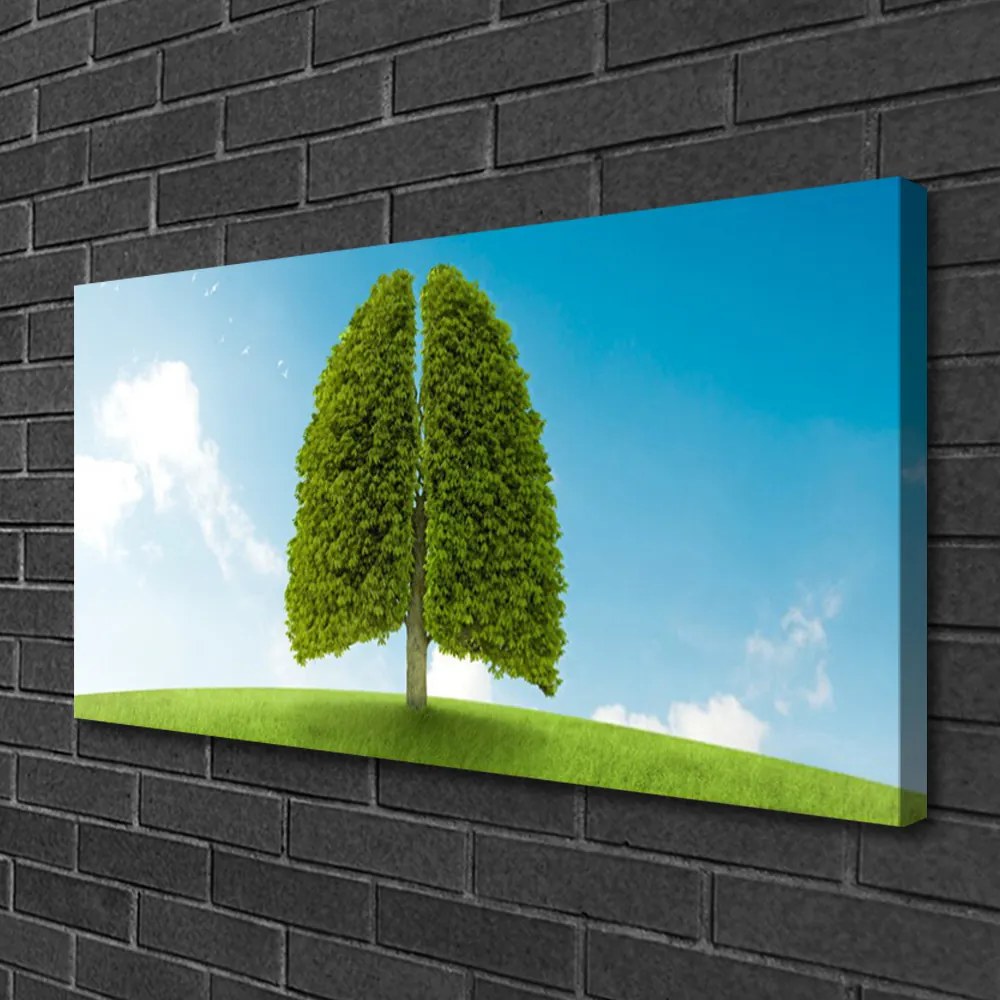 Obraz na plátně Tráva Strom Plíce Příroda 140x70 cm