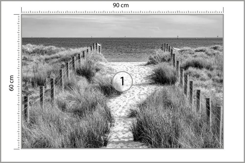 Fototapeta Pojďme Dolů Na Pláž Black &amp;amp; White Omyvatelný vlies 104x70.5