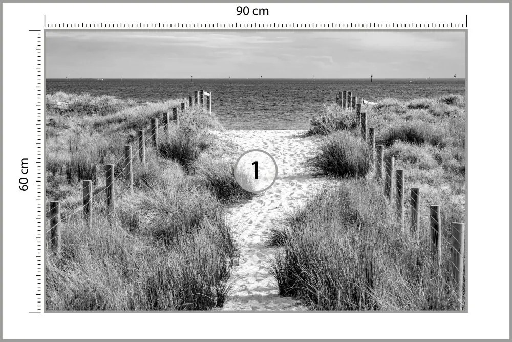 Fototapeta Pojďme Dolů Na Pláž Black &amp;amp; White Omyvatelný vlies 360x240
