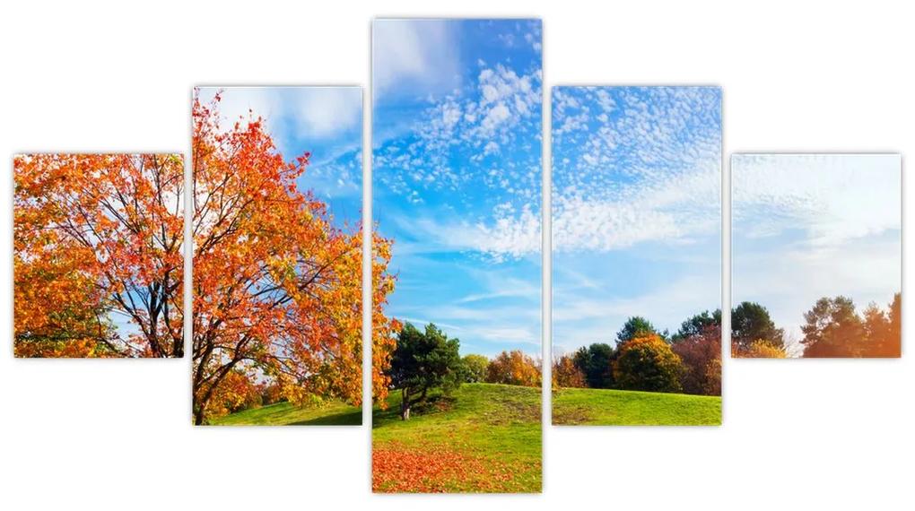 Obraz - Podzimní krajina (125x70 cm)