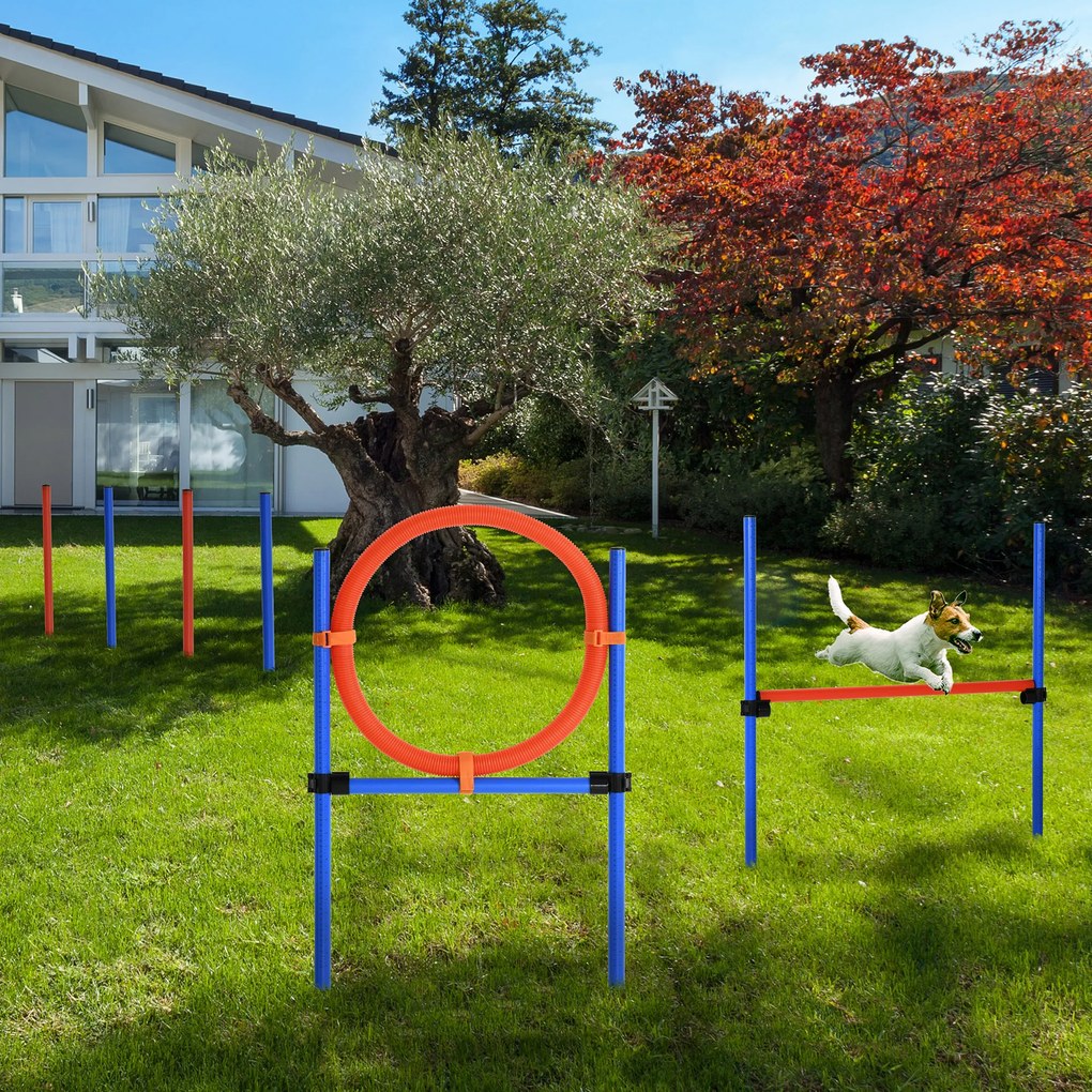 Výcvikové zařízení pro psy PawHut Agility, cvičební sada pro agility, tréninkový areál pro psí sporty 3 v 1, modrá+červená