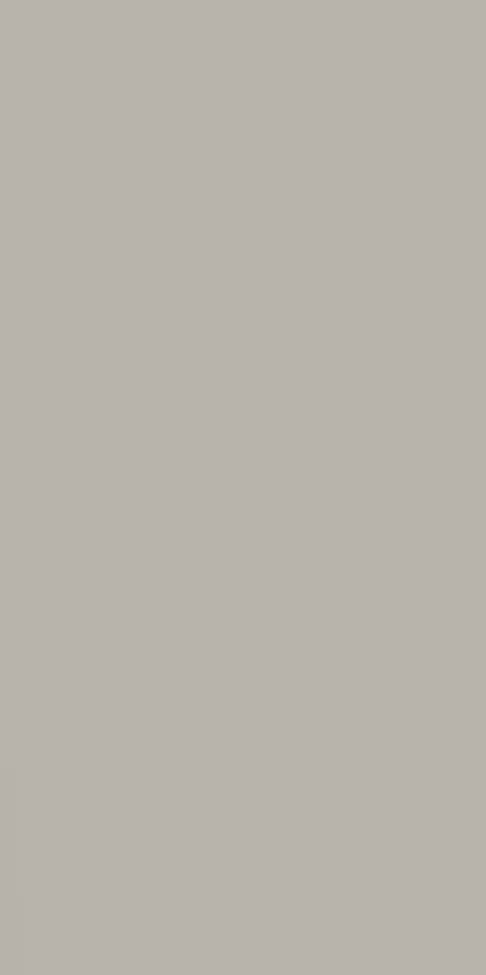 Ceramika Paradyz Obklad šedý matný 59,8x29,8 Neve Grys Mat Rekt. 59,8x29,8 - 159896