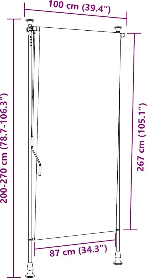 vidaXL Venkovní roleta 100 x 270 cm [368772] Barva: antracitová