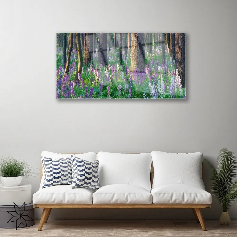 Obraz na skle Les Květiny Příroda 100x50 cm