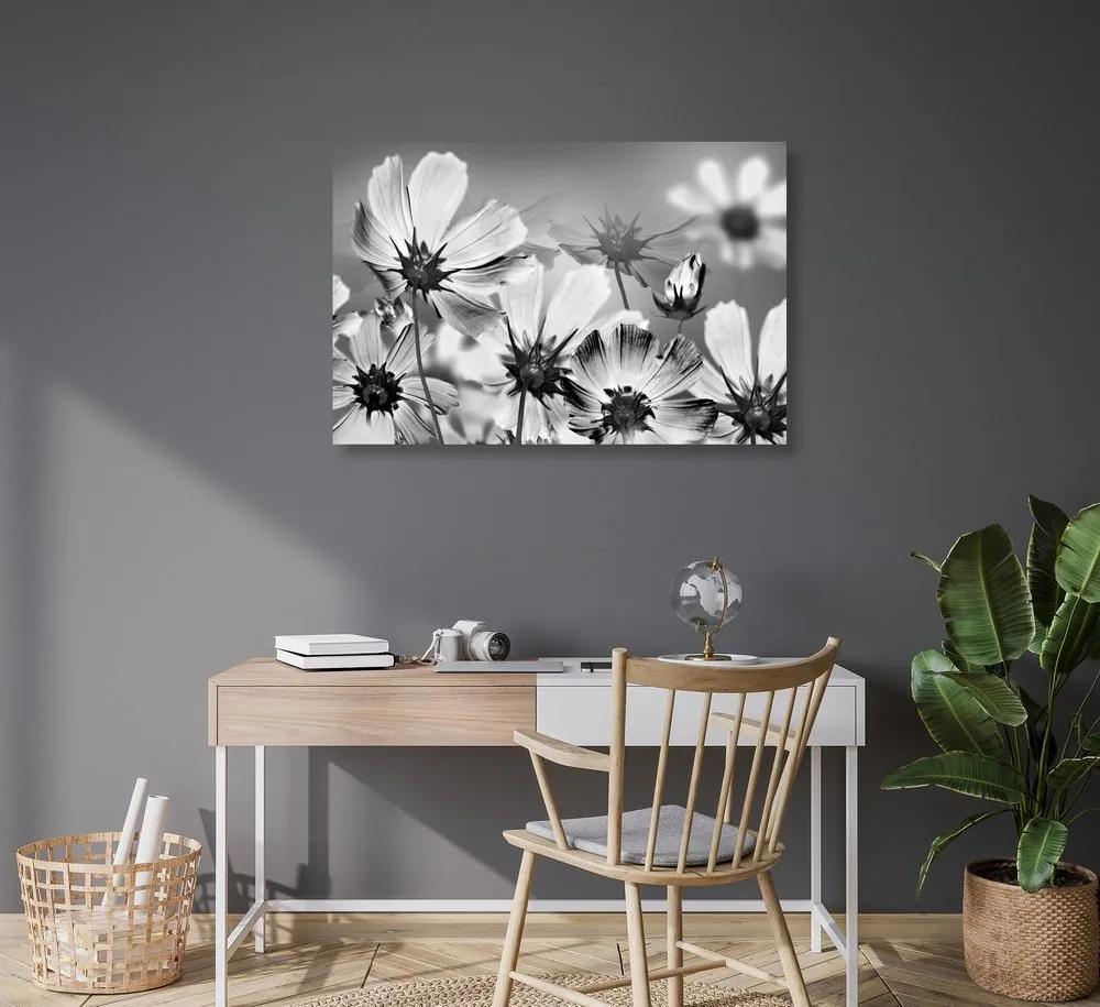 Obraz letní květiny Varianta: 120x80