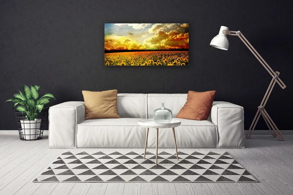 Obraz na plátně Pole Slunečnic Krajina 125x50 cm