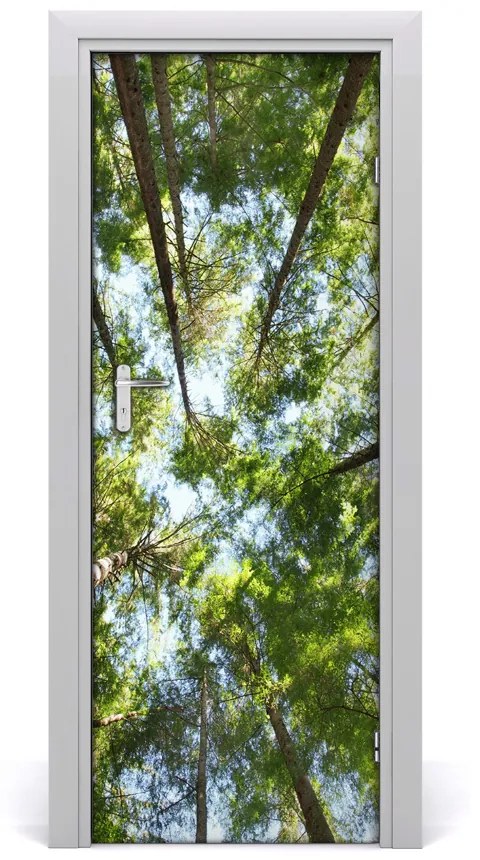 Fototapeta na dveře samolepící koruna stromů 85x205 cm