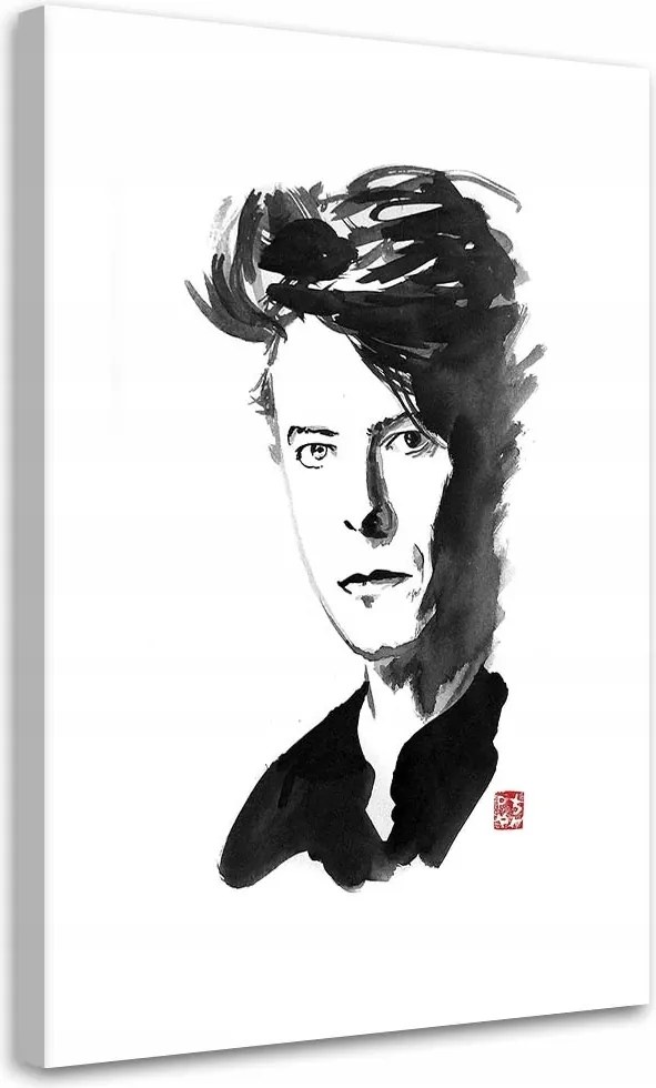 Obraz na plátně Bowie Péchane 80x120