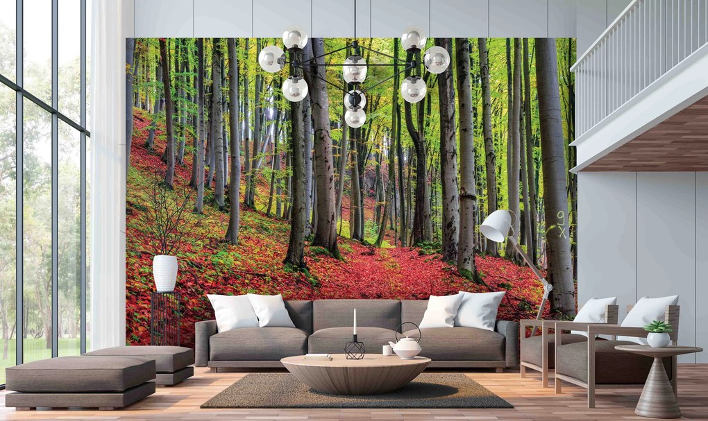 Malvis ® Tapeta Barevný les Vel. (šířka x výška): 144 x 105 cm