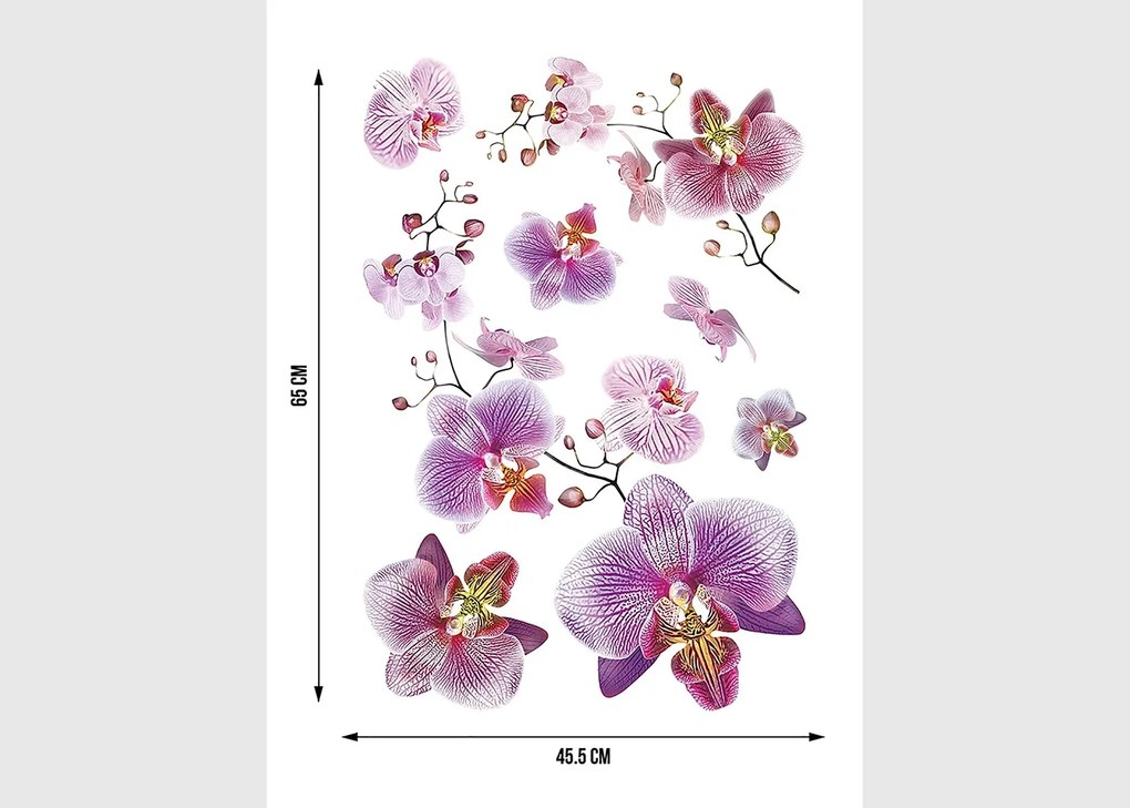 Samolepka na zeď Orchideje | 42.5 x 65 cm | DSM3440
