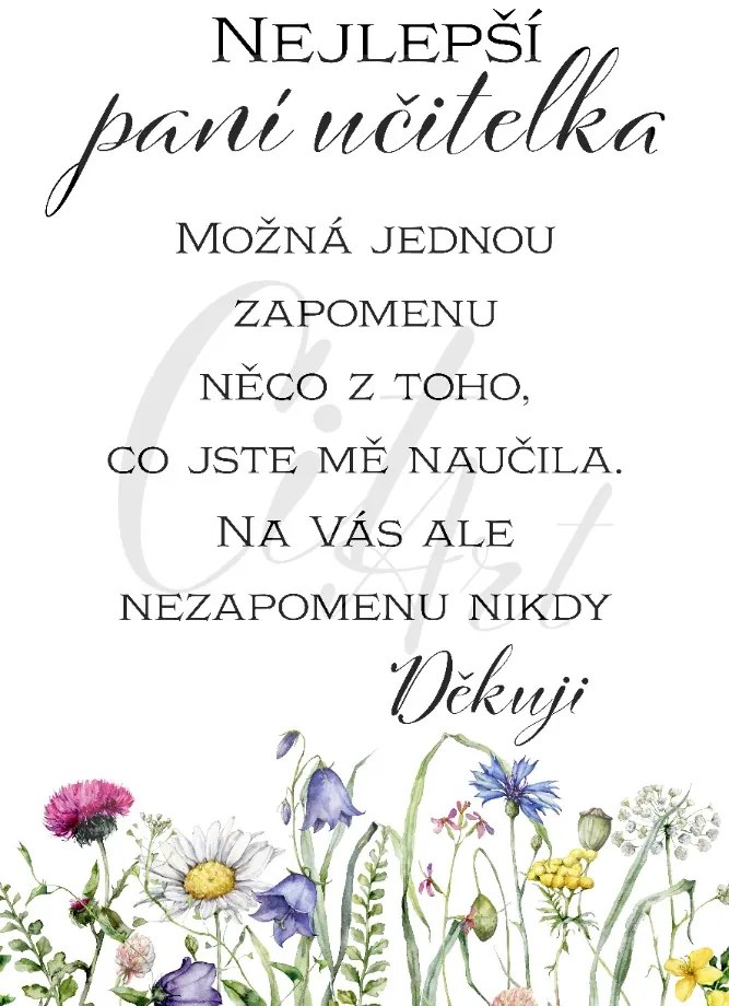 CitArt.cz Nejlepší paní učitelka – možná jednou zapomenu něco z toho, co jste mě naučila. Na Vás ale nezapomenu nikdy Děkuji Motiv: Šeříky, Velikost: 45x60 "A2"