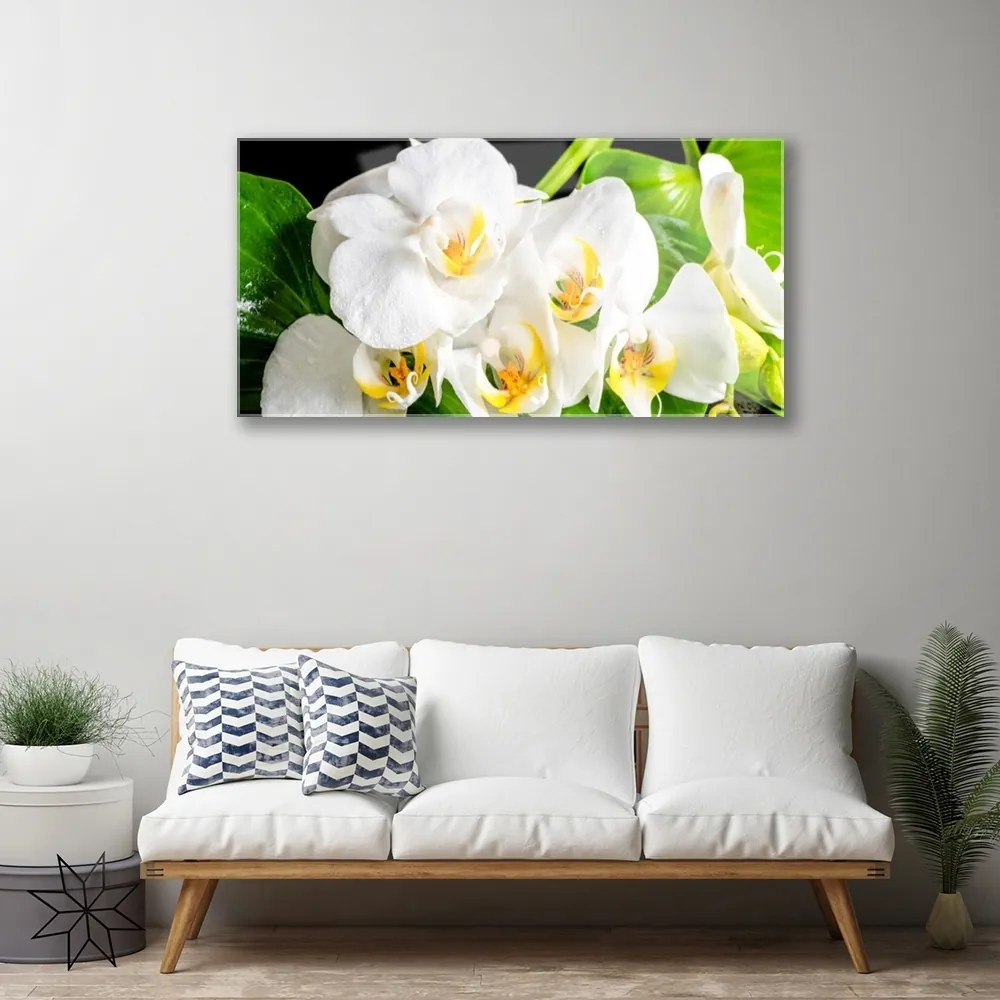 Obraz na skle Orchidej Květiny Příroda 120x60 cm