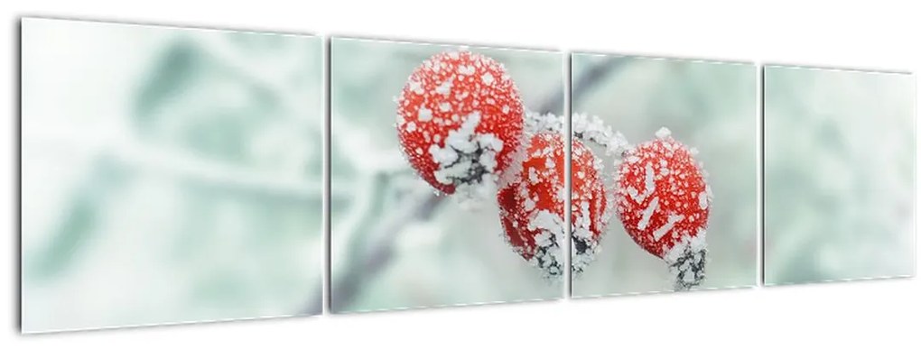 Obraz zmrzlých šípků (160x40 cm), 40 dalších rozměrů