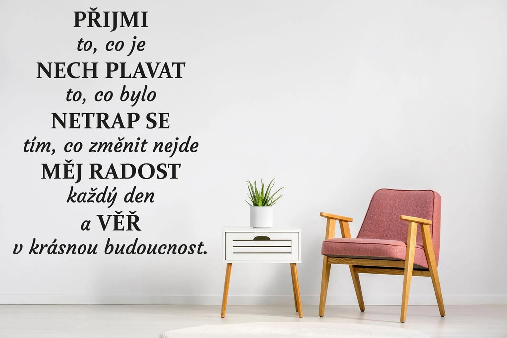 Samolepka na zeď Přijmi to Barevná varianta: Černá, Velikost (šířka x výška): 50x64cm
