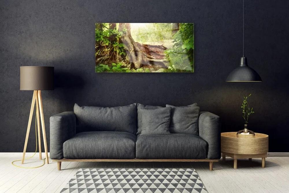 Obraz na skle Strom Kmen Příroda Les 120x60 cm
