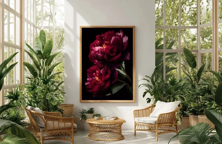 Sametová krása - obraz - Pivoňky v temně elegantním stylu 44 - A4 – 210 × 297 mm - 149 Kč