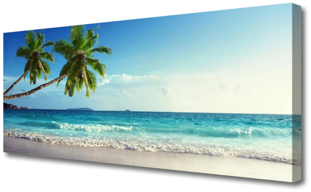 Obraz Canvas Moře Pláž Palma Krajina