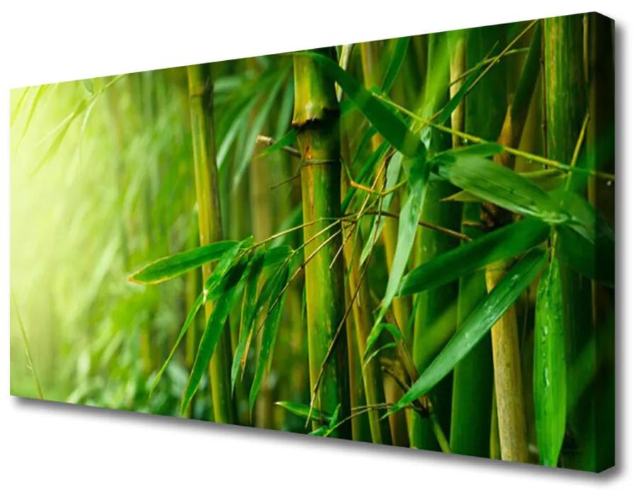 Obraz na plátně Bambus Stonky Rostlina 140x70 cm