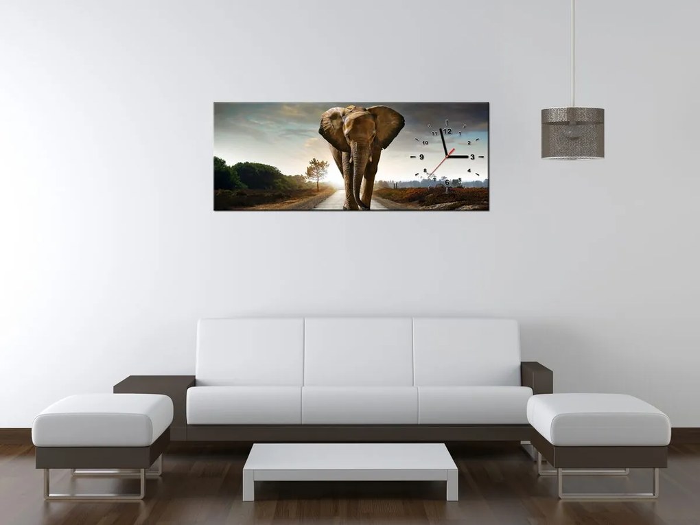 Gario Obraz s hodinami Osamělý silný slon Rozměry: 100 x 40 cm