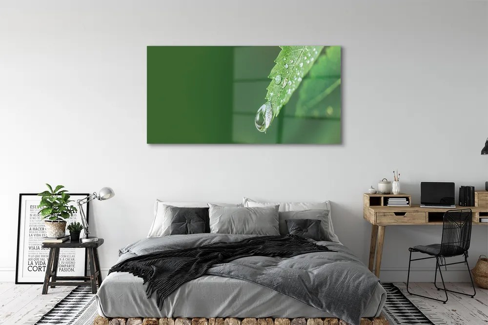 akrylový obraz Kapka vody listí 140x70 cm