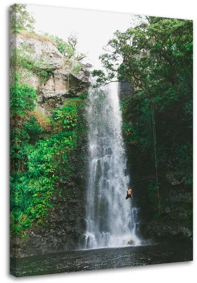 Gario Obraz na plátně Muž skákající z vodopádu Rozměry: 40 x 60 cm