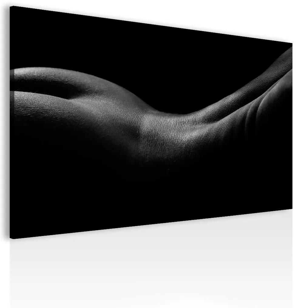 Obraz zákoutí ženského těla Velikost (šířka x výška): 150x100 cm