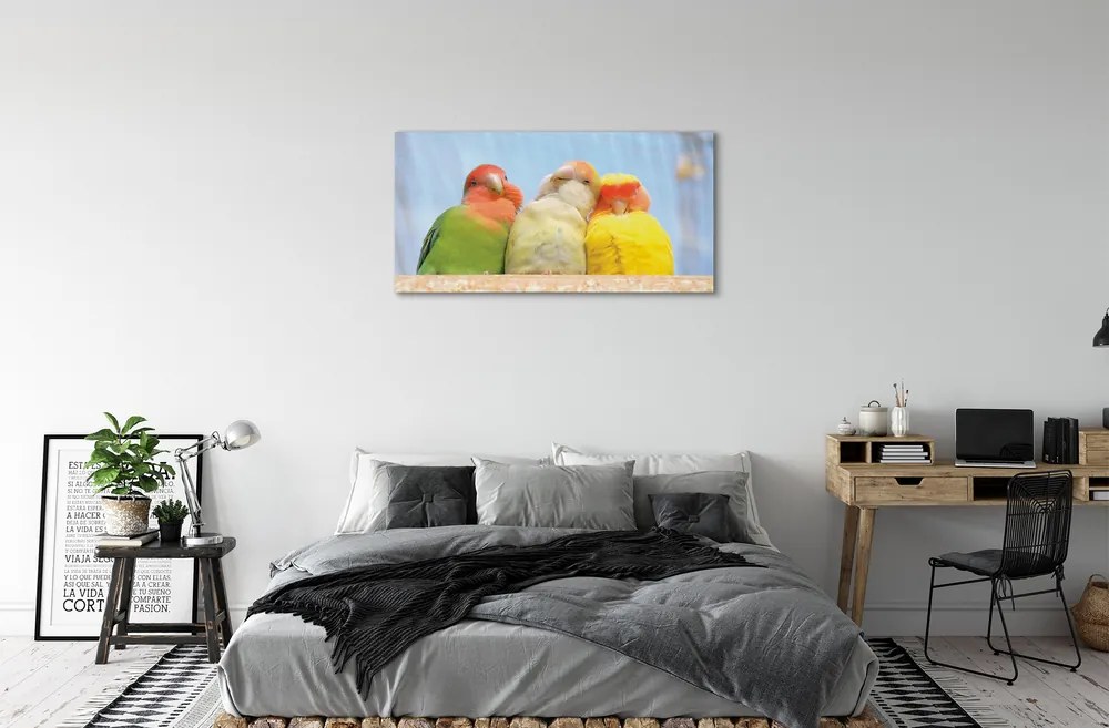 Obrazy na plátně barevný papoušek 125x50 cm