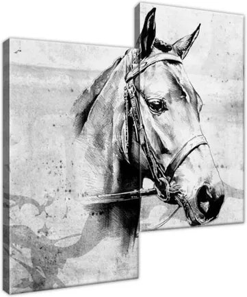 Tištěný obraz Kůň 60x60cm 1919A_2J