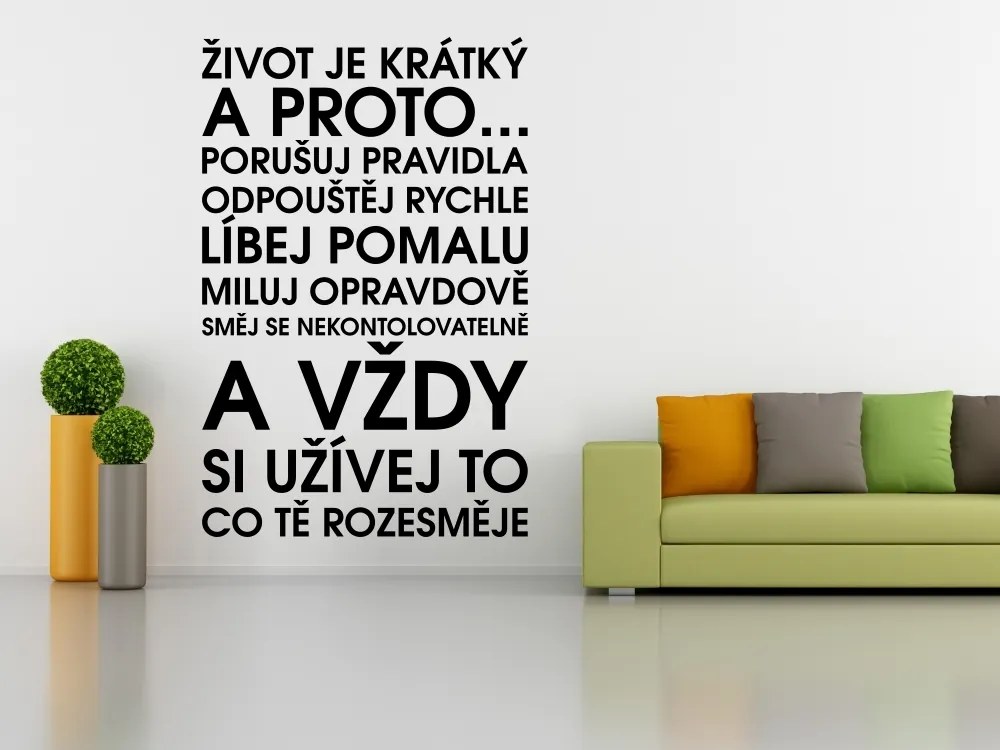 Život je krátký - Samolepka na zeď (100x65cm) - Rawe.cz