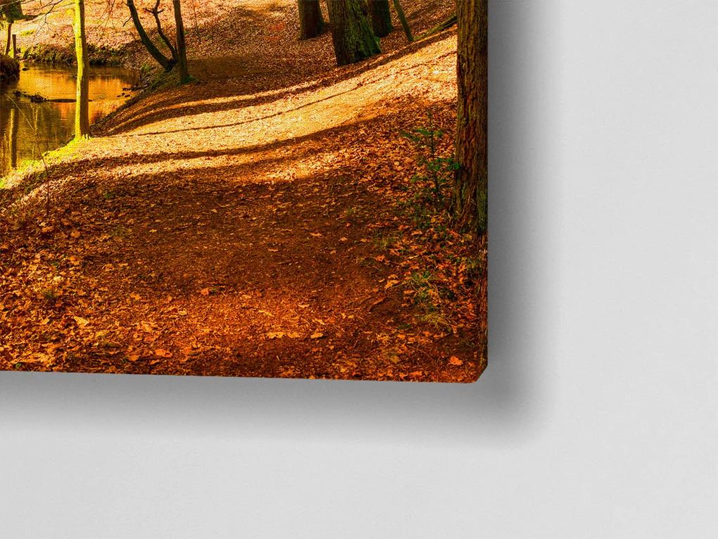 Liox Obraz řeka v lese Rozměr: 250 x 110 cm
