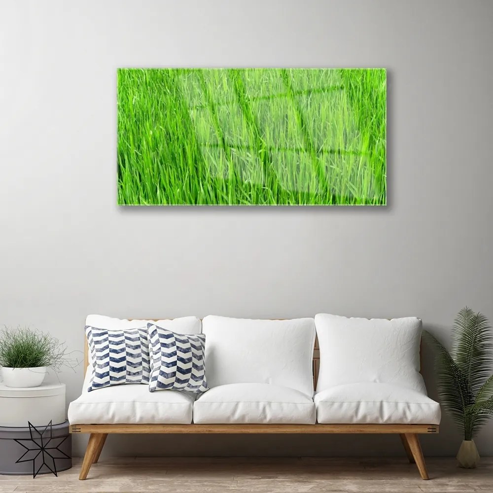 Obraz na skle Zelená Tráva Příroda Trávník 125x50 cm