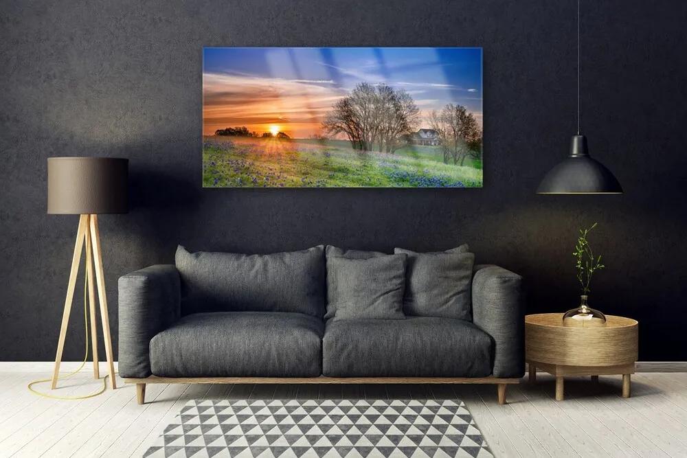 akrylový obraz Louka Slunce Krajina 120x60 cm