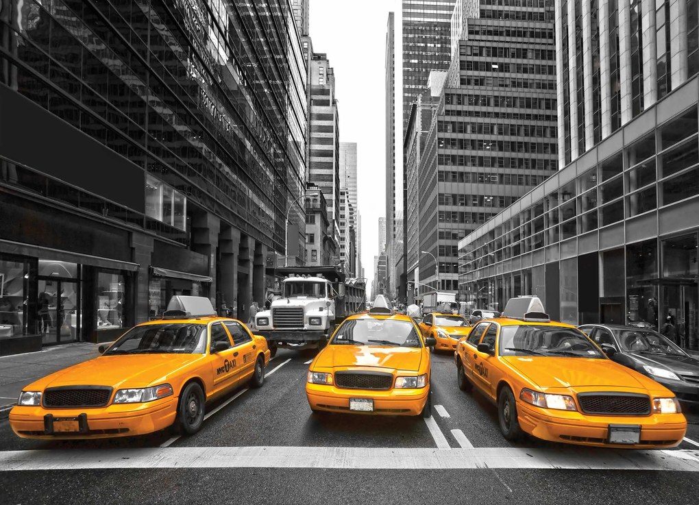 Malvis Tapeta NYC taxi Vel. (šířka x výška): 288 x 200 cm