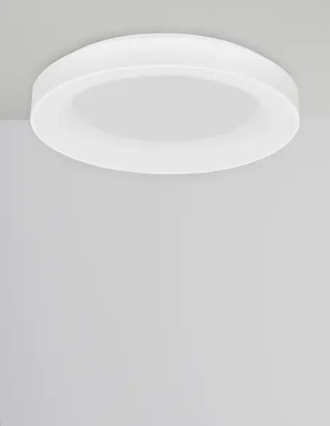Stropní svítidlo LED se stmíváním Rando Smart 60 bílé
