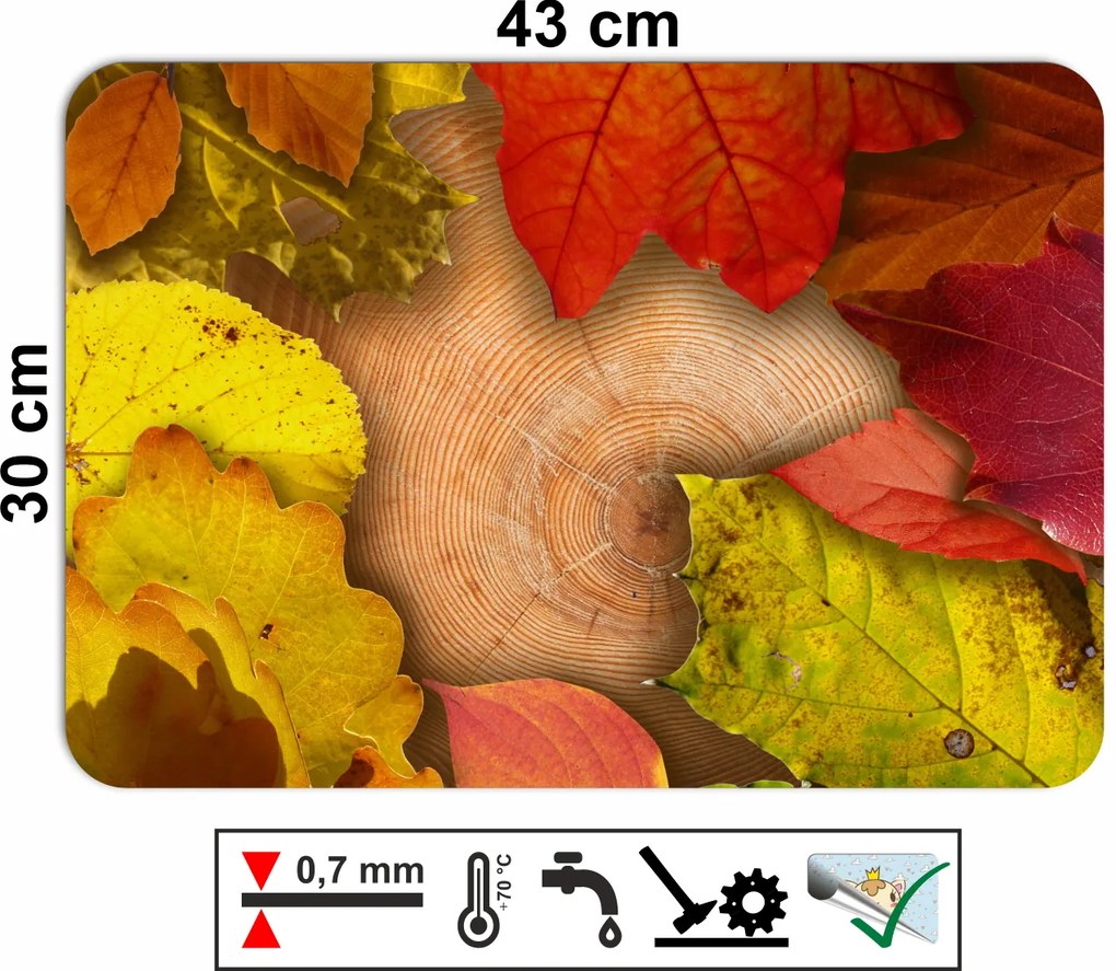 PokojovaDekorace.cz, Prostírání - 078, Imitace dřeva, 43x30cm