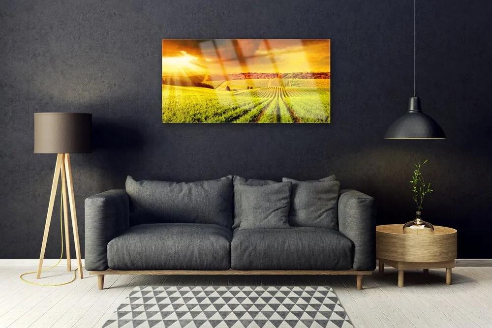 akrylový obraz Pole Západ Slunce Krajina 100x50 cm