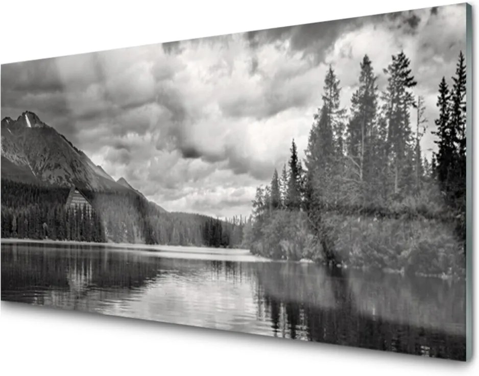Skleněný obraz Hora Les Jezero Příroda
