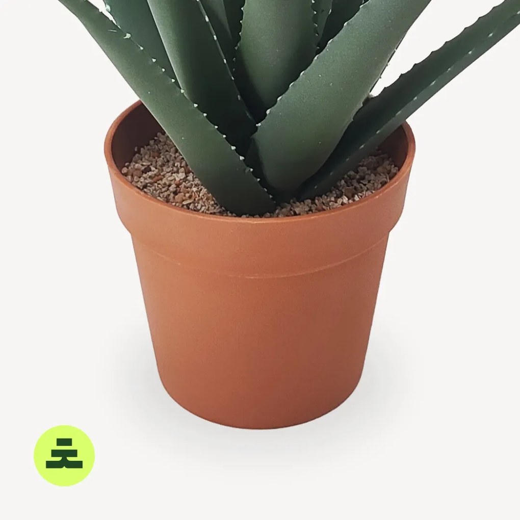 Umělá Aloe 59 cm