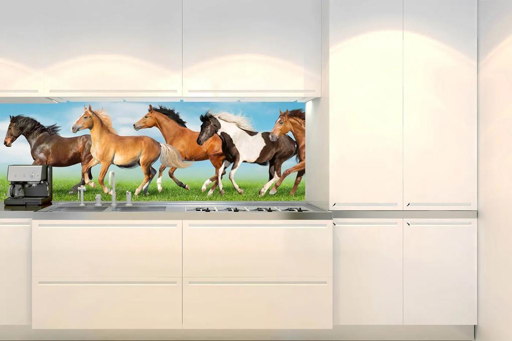 DIMEX | Fototapeta do kuchyně Stádo koní KI-180-111 | 180 x 60 cm | zelená, modrá, hnědá